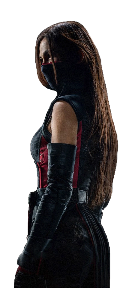 Elektra Natchios (Earth-1356) | Comic Crossroads | Fandom