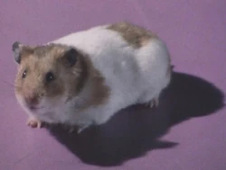 Poss (Earth-83963) | Comic Crossroads | Fandom