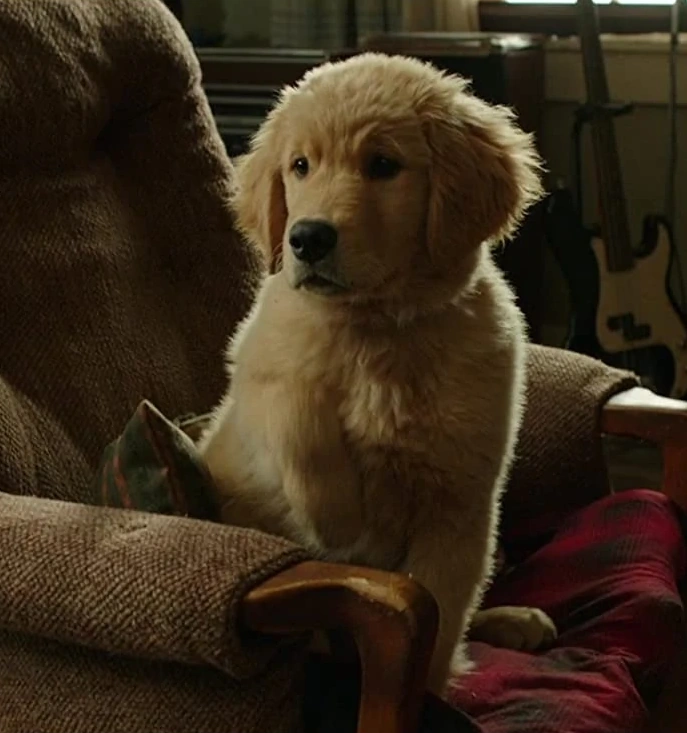 Thomas Curry's Dog (Earth-3154) | Comic Crossroads | Fandom