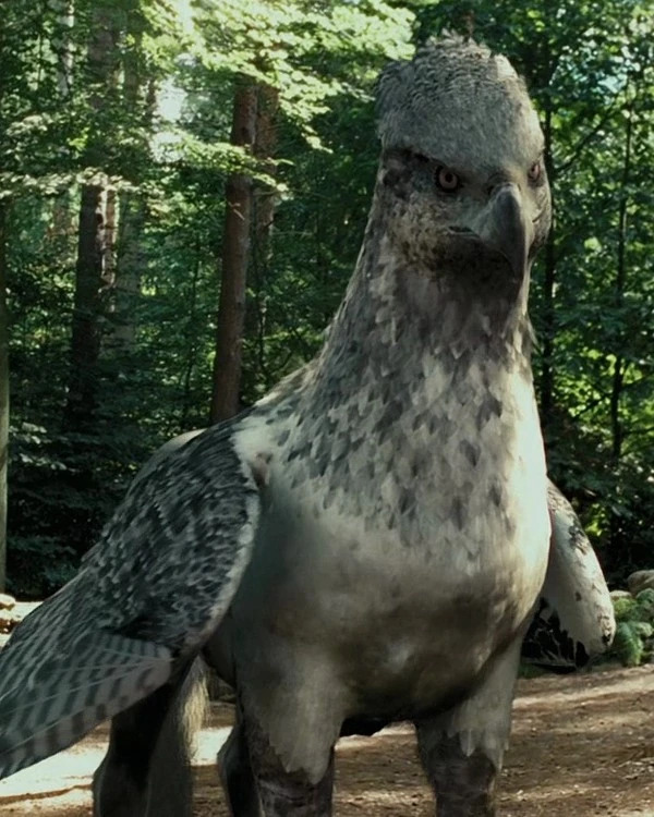 Buckbeak (Earth-62697) | Comic Crossroads | Fandom