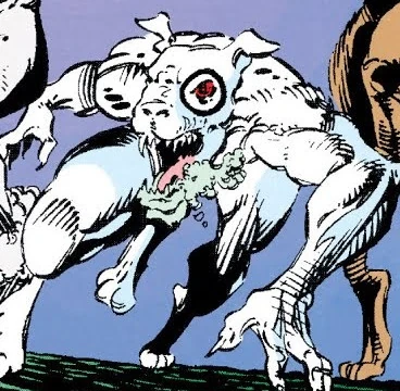 Category:Litter (Earth-616)/Members | Marvel Database | Fandom