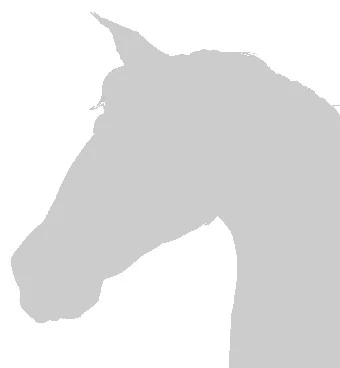 Sleipnir | Marvel Database | Fandom