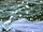 Eielson Air Force Base from Fantastic Four Vol 1 556 001.png