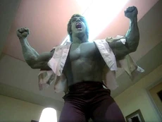 The Incredible Hulk (TV series) | Marvel Database | Fandom