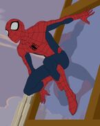 Peter Parker (earth-17628) Gallery | Marvel Database | Fandom
