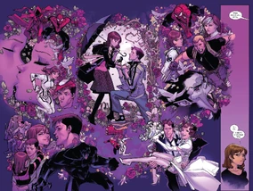 spider man kitty kat