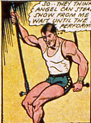 Flying Falcon (Earth-616) | Marvel Database | Fandom