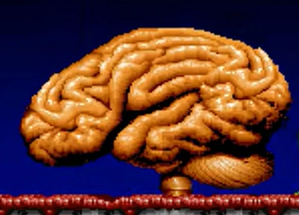 Brain (Earth-TRN103) | Marvel Database | Fandom