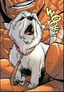 Princess Masters-Grimm (Earth-616)/Gallery | Marvel Database | Fandom