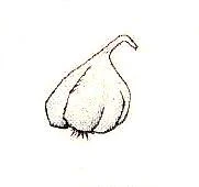 Garlic | Marvel Horror Wiki | Fandom