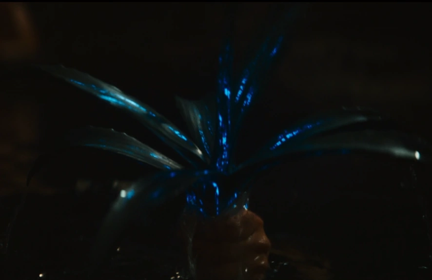 Talokanil Herb | Marvel Movies | Fandom