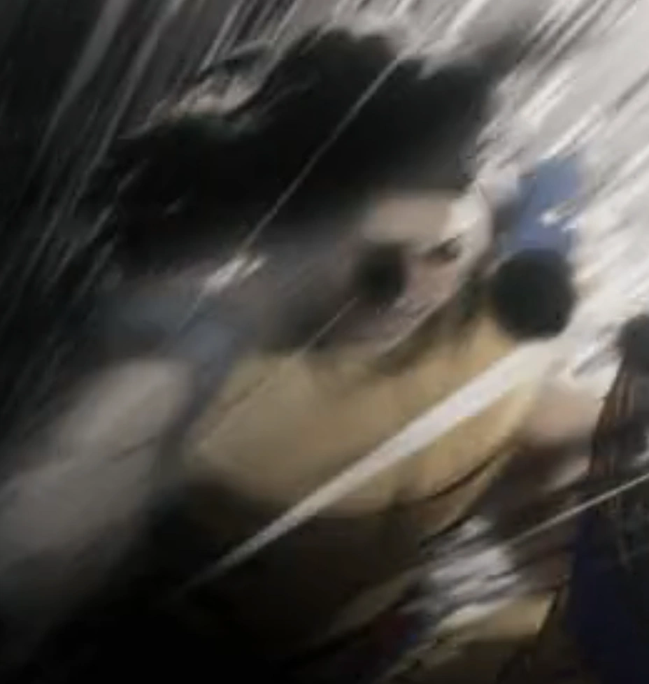 Margaret Carter (Wolverine Peggy Carter) | Marvel Movies | Fandom