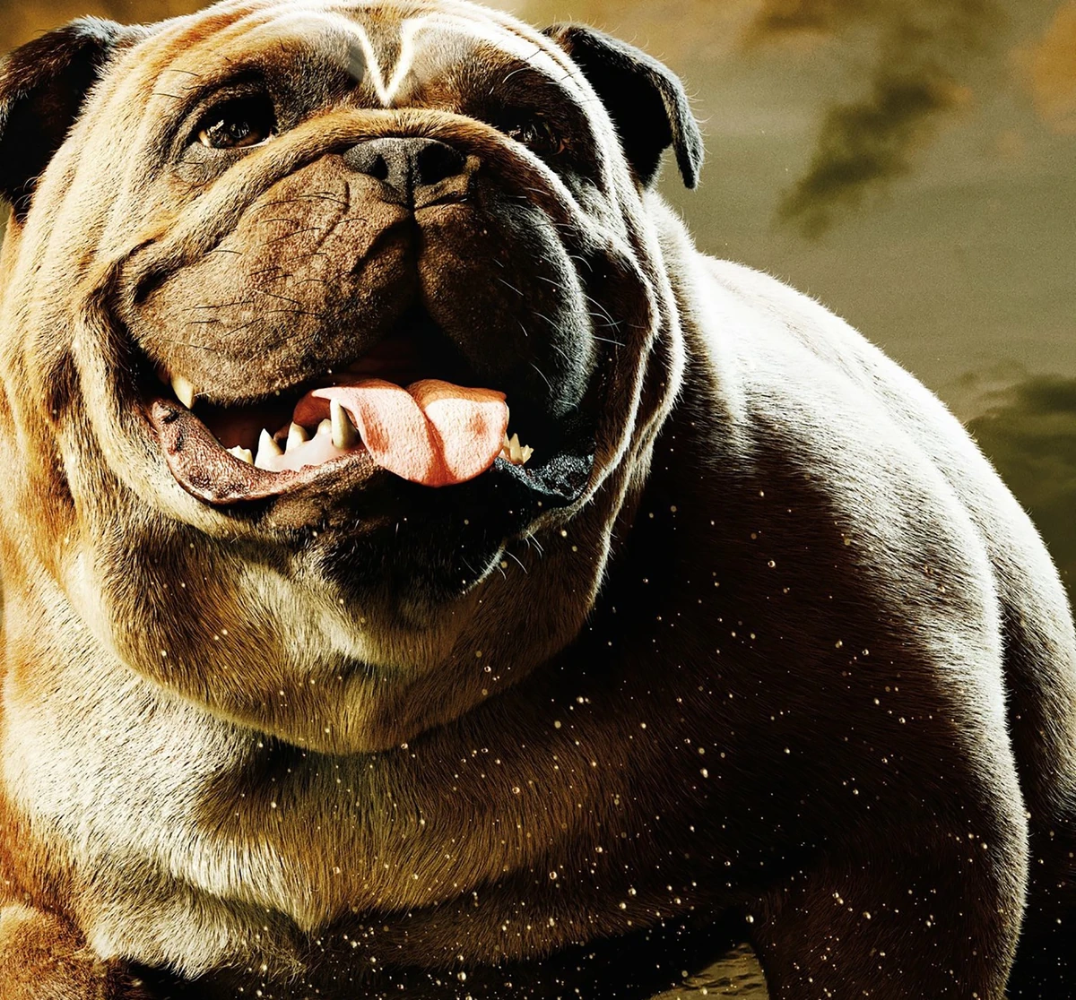 Lockjaw | Marvel Movies | Fandom