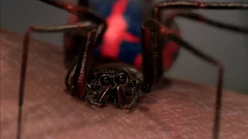 Genetically Engineered Super Spiders | Marvel Movies | Fandom