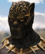 N'Jadaka | Marvel Movies | Fandom