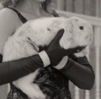 Señor Scratchy | Marvel Movies | Fandom