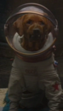 Cosmo (disambiguation) | Marvel Movies | Fandom