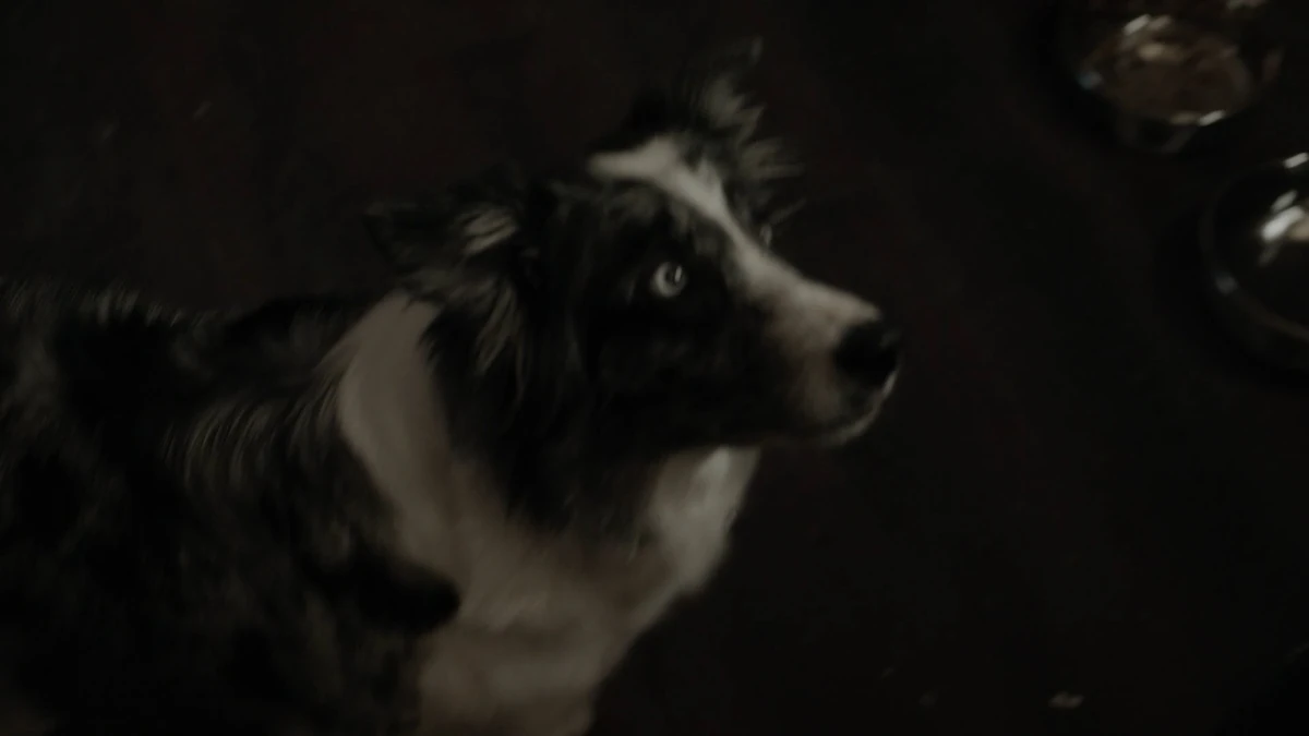 Zingo | Marvel Movies | Fandom