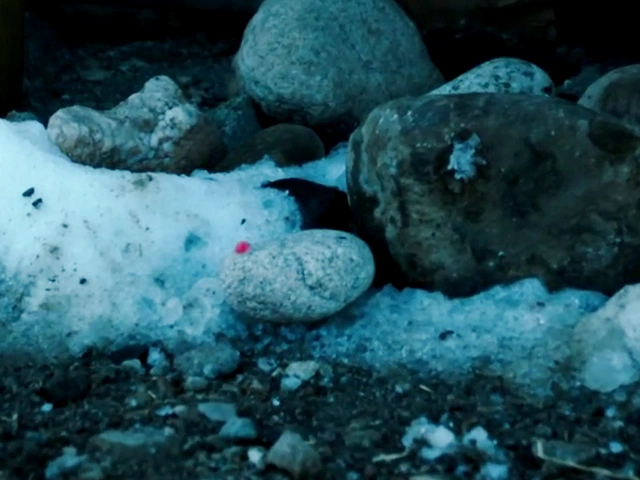 Remote Beacon | Marvel Movies | Fandom