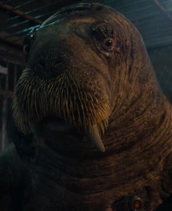 Teefs | Marvel Movies | Fandom