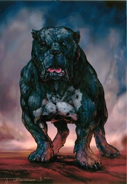 Chiens Du Film Hulk 2003 Hulk Box Set [Limited Edition] [3 DVDs]