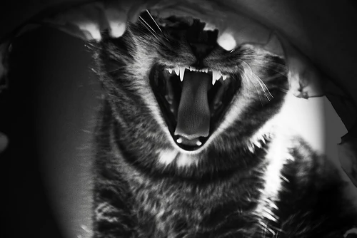 Blade: The Legacy Lives On | Marvel Movies Fanon Wiki | Fandom