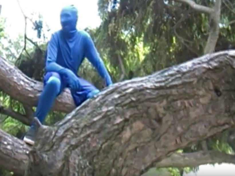 The Tree | Marvelous Maxter Wiki | Fandom