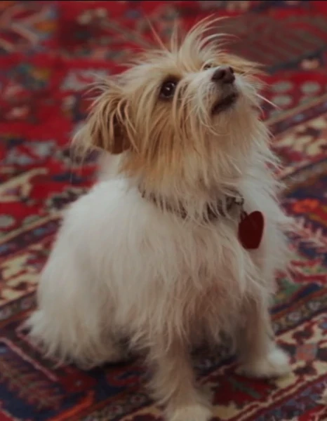 Sparky | Wiki Univers Cinématographique Marvel | Fandom