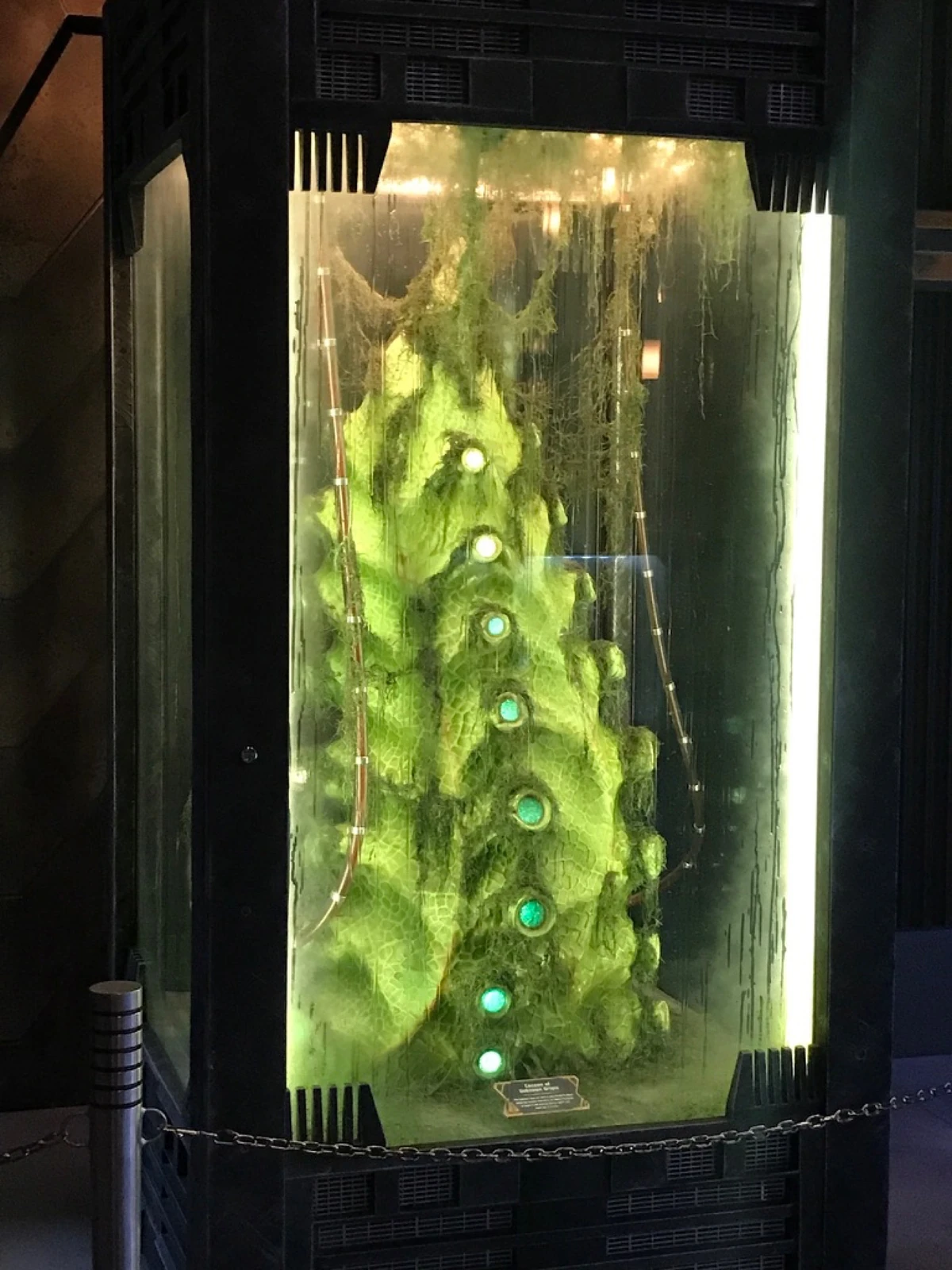 Adam Warlock | Marvel Theme Park Universe Wiki | Fandom