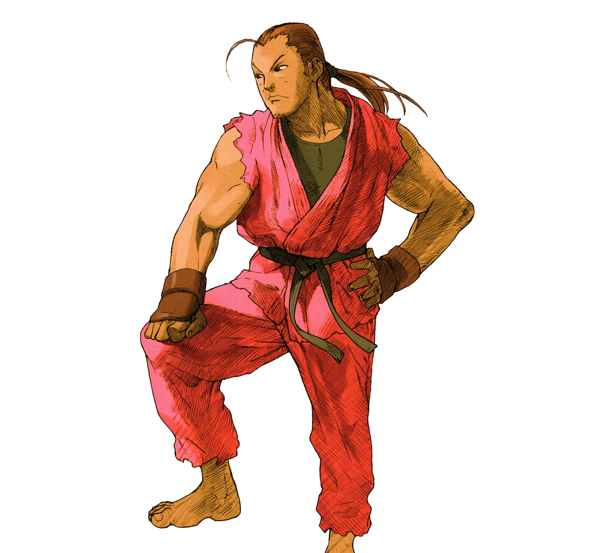 Dan | Marvel vs. Capcom Wiki | Fandom