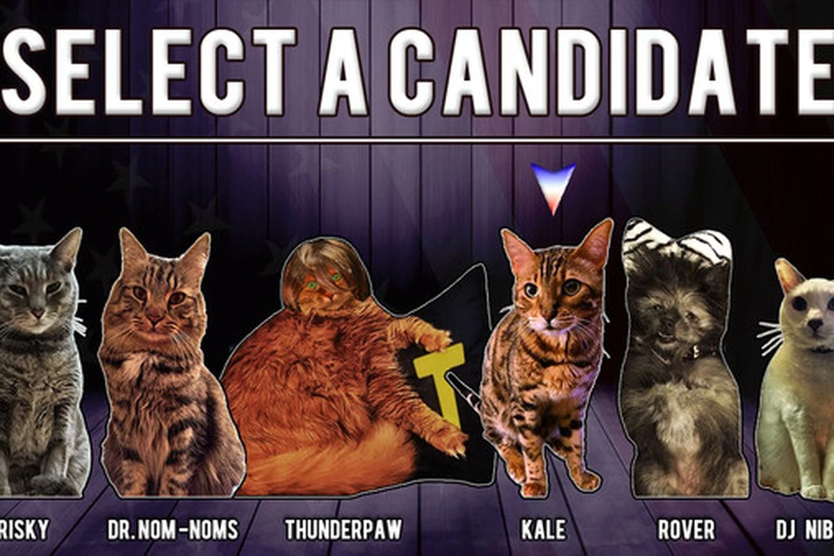 Cat President | The MasaeAnela Wiki | Fandom