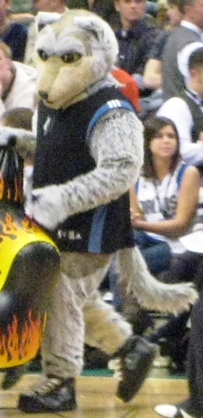 Crunch the Wolf | Mascotpedia | Fandom