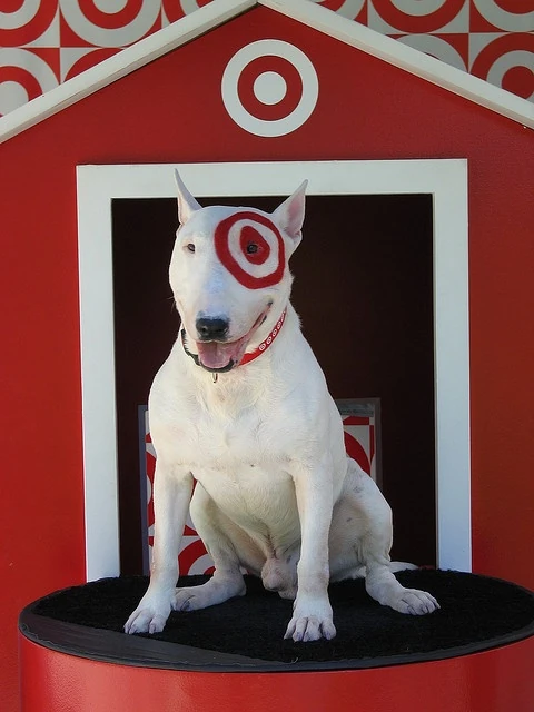 Bullseye | Mascotpedia | Fandom