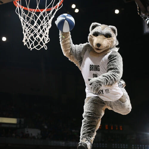 Crunch the Wolf | Mascotpedia | Fandom