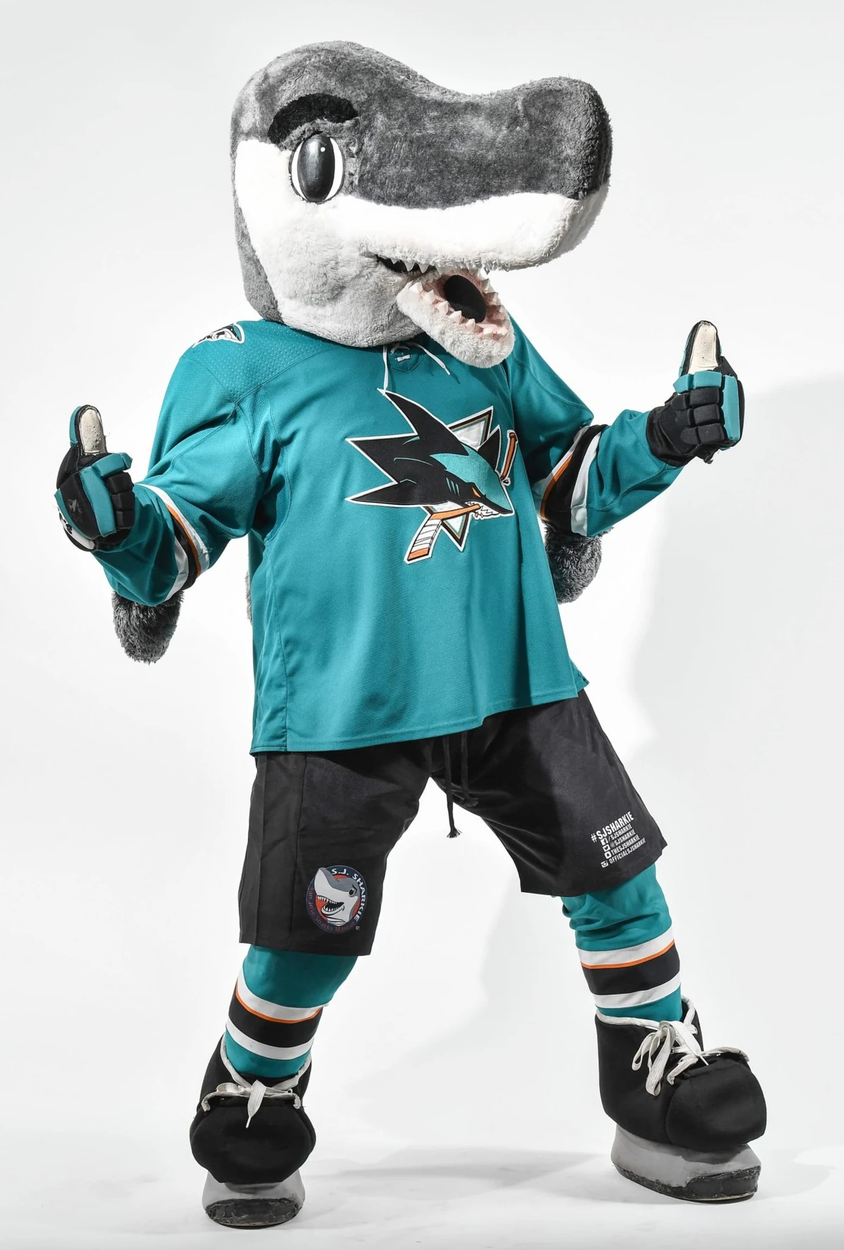 S.J. Sharkie | Mascotpedia | Fandom