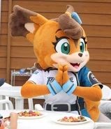 Polly Polaris | Mascotpedia | Fandom