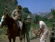 Sophie | Monster M*A*S*H | Fandom