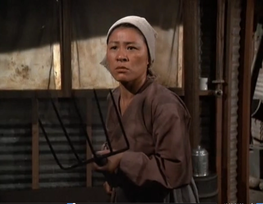 Mrs. Li (Oksun Li's mother) | Monster M*A*S*H | Fandom
