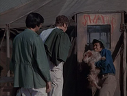 Swamp | Monster M*A*S*H | Fandom