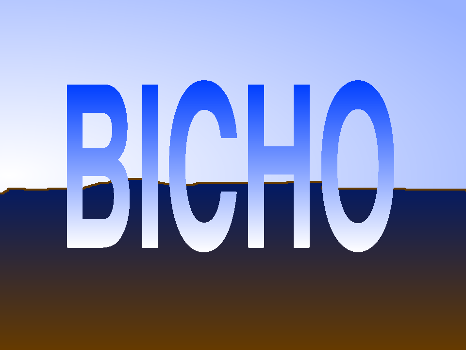 Bicho (2009) | Wiki Rede Masha | Fandom