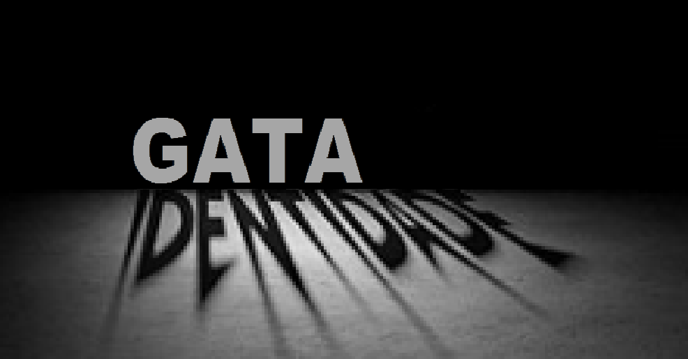 Gata Indetidade Wiki Rede Masha Fandom