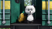 Panda | Masha and the Bear Wiki | Fandom