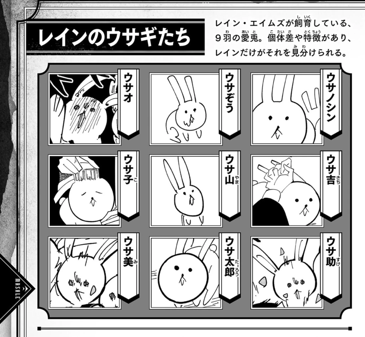 Rayne's Rabbits | Mashle Wiki | Fandom