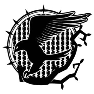 Discuss Everything About Mashle Wiki | Fandom