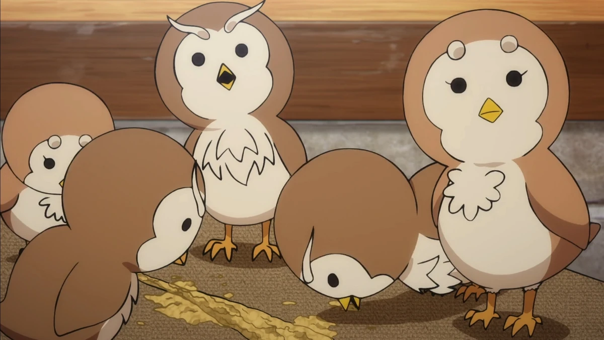Owls | Mashle Wiki | Fandom
