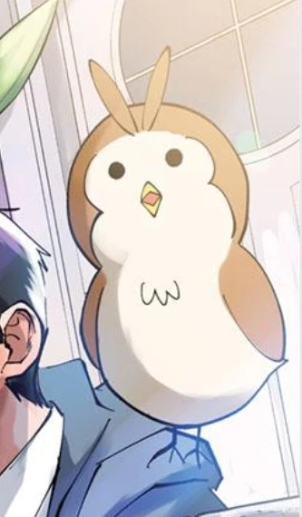 Owls | Mashle Wiki | Fandom