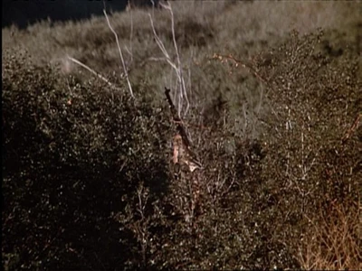 M1 Garand | MASH Wiki | Fandom