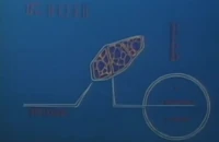 Endurium | M.A.S.K. Wiki | Fandom