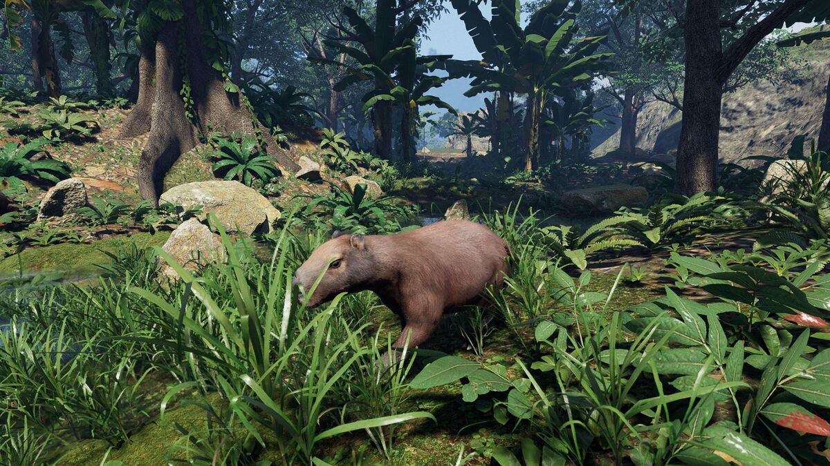 Capybara | Soulmask Wiki | Fandom Capybara | Soulmask Wiki | Fandom