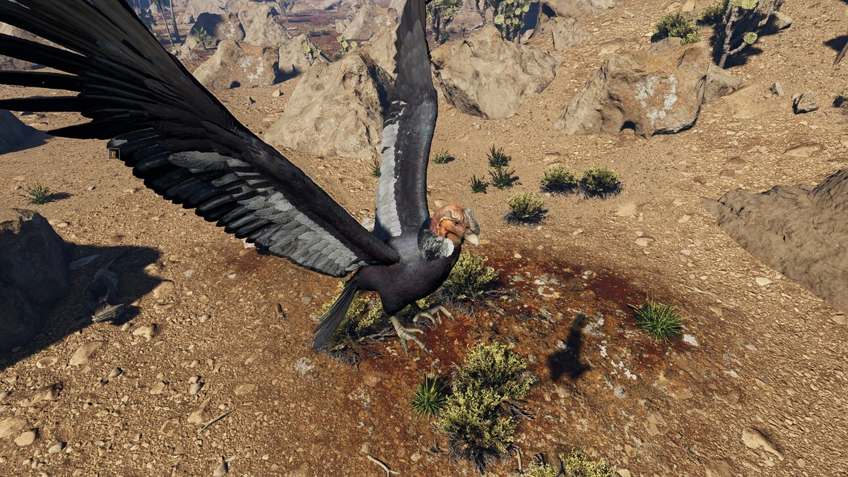 Vulture | Soulmask Wiki | Fandom